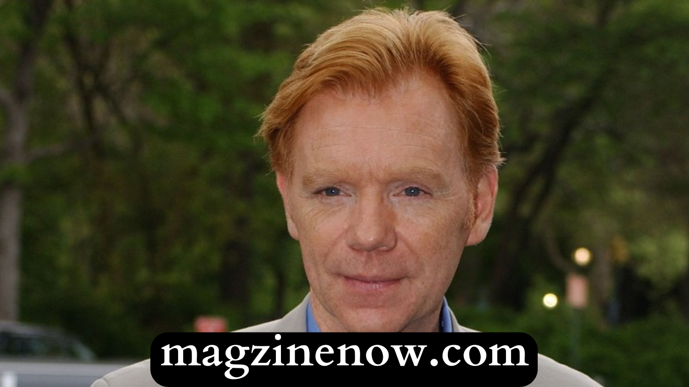 David Caruso - Wiki, Biography, Family, Relationships, Career, Net ...
