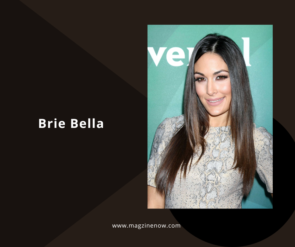 Brie Bella - Wiki, Biography, Family, Relationships, Career, Net Worth ...